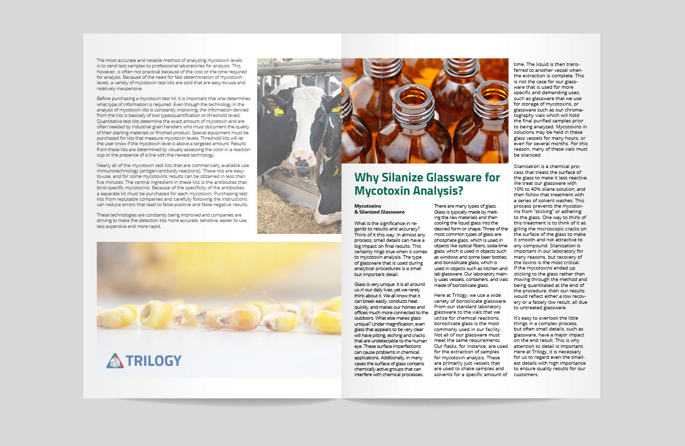 Why Silanize Glassware for Mycotoxin Analysis? | Trilogy Article ...